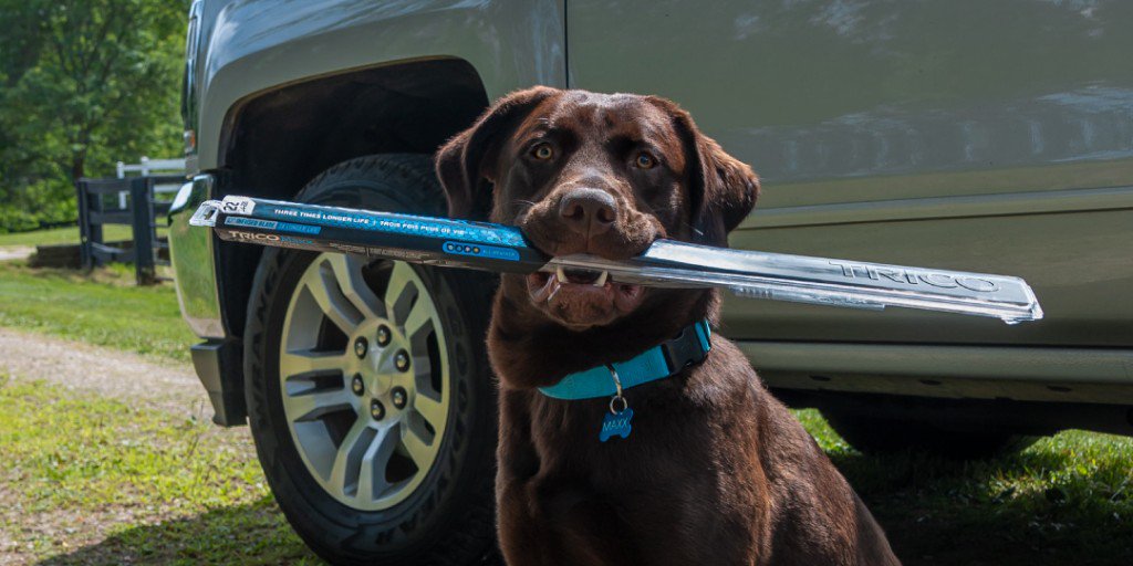 Trico Maxx Blades - Future Rides